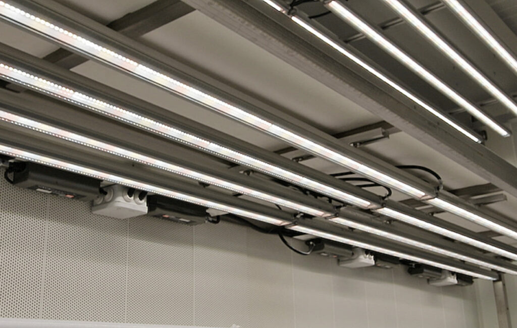 Valoya C-Series ⋆ for CEA & Vertical Farm | VERTIKIT