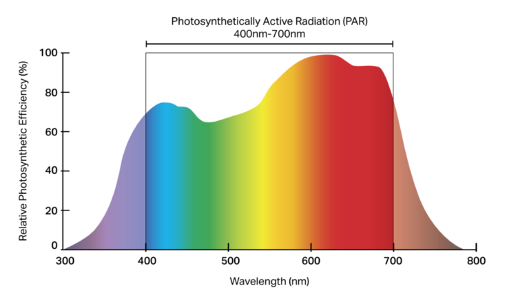 The influence of different light wavelengths on plant growth ⋆ VERTIKIT