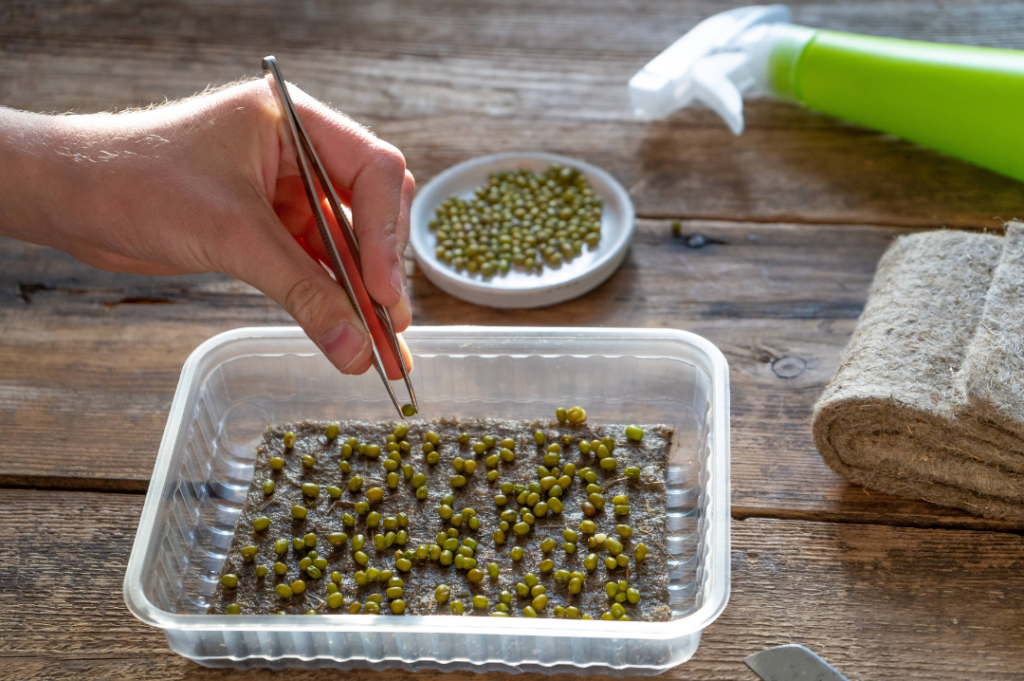 Should You Soak Your Seeds? ⋆ VERTIKIT