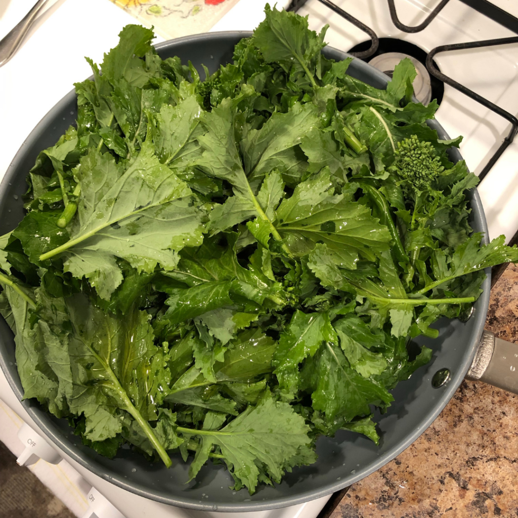Rapini ⋆ VERTIKIT