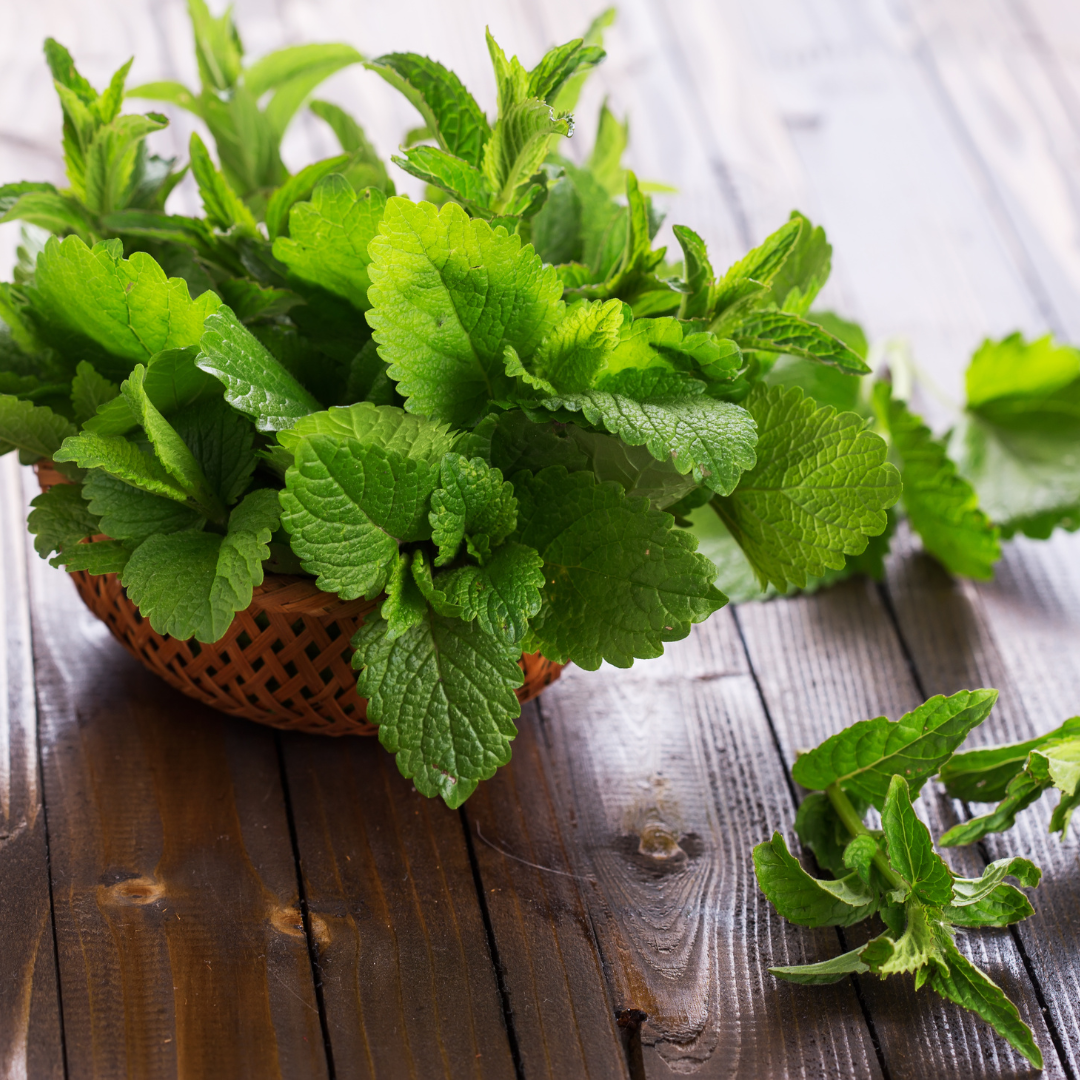 Peppermint ⋆ VERTIKIT